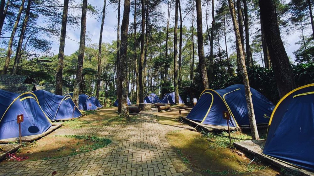 5 Rekomendasi Tempat Camping di Lembang yang Cocok untuk Liburan