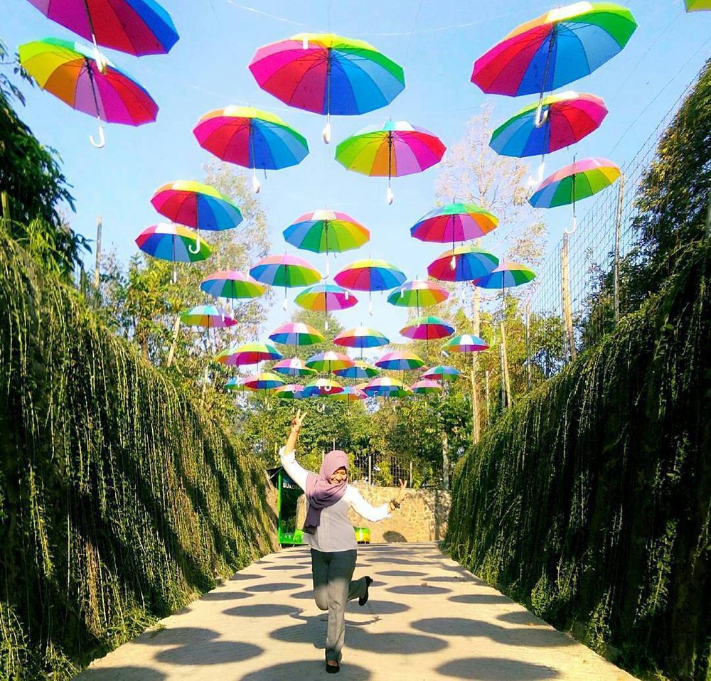 10 Rekomendasi Tempat Wisata di Jember Selain Pantai 2025